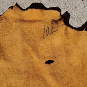 Full Hide Tanned Deer Skin Native Crafts Regalia Gloves Drum Head ...