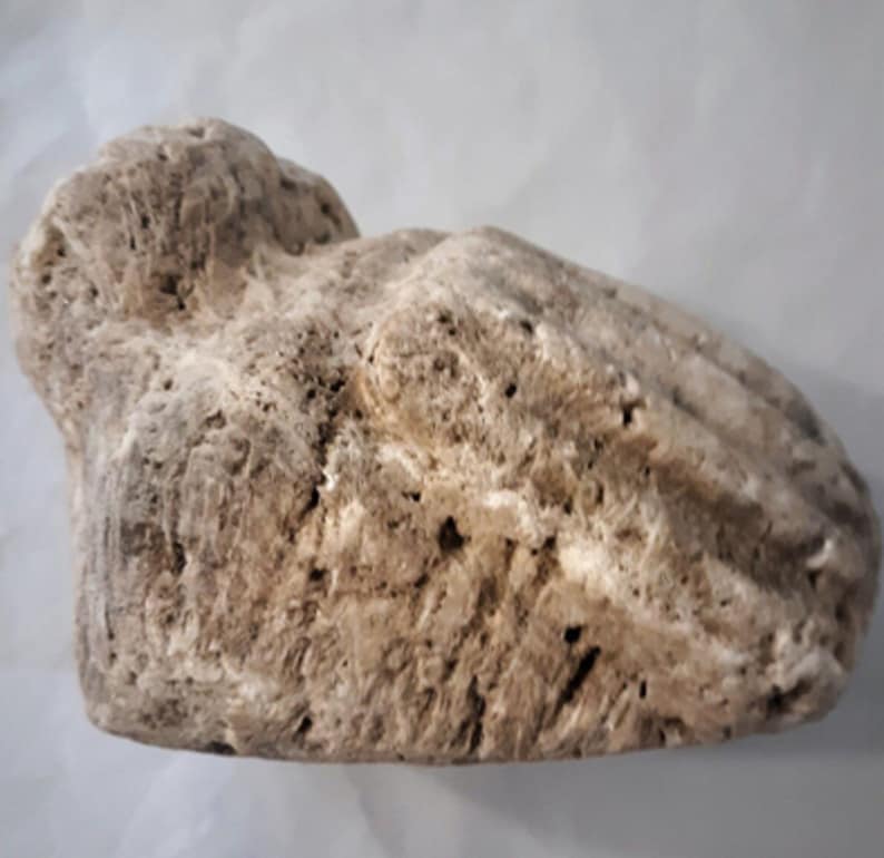 Paleo Indian Stone Effigy Florida Keys or Everglades - Etsy