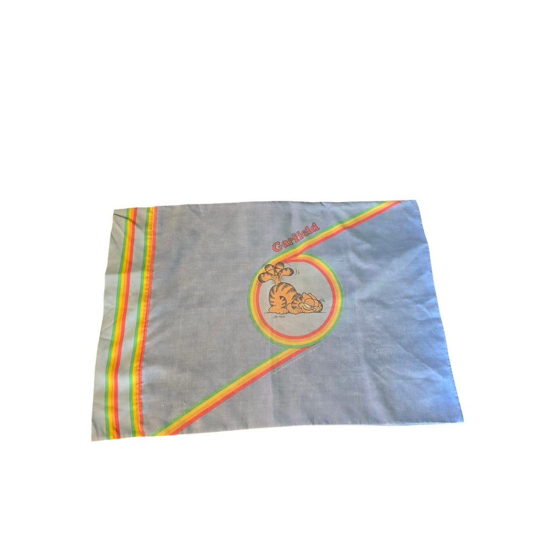 Vintage 70s 1978 Garfield by Jim Davis Rainbow Blue Pillowcase Blue Cat ...