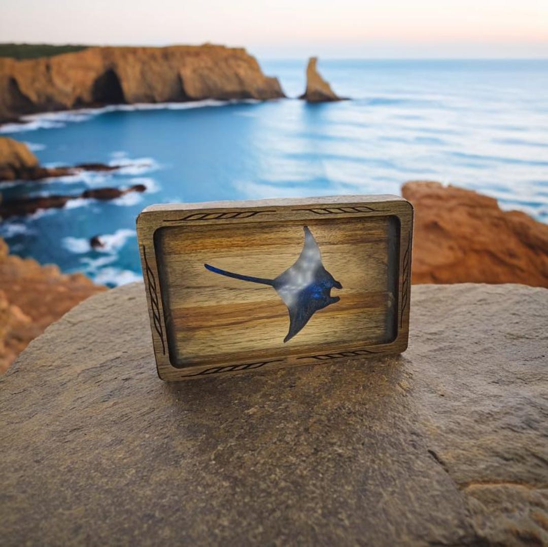 Deep Space Sting Ray Tray/catch Tray - Etsy