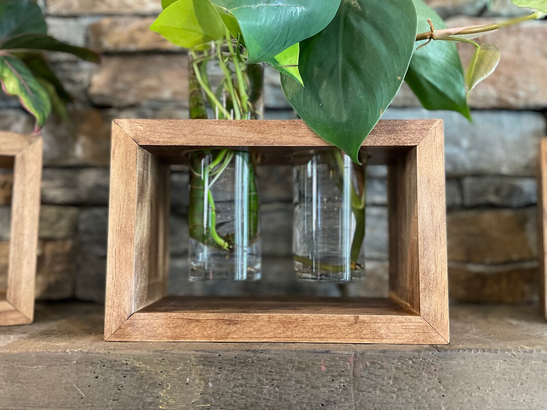Double Plant Propagation Frame - Etsy