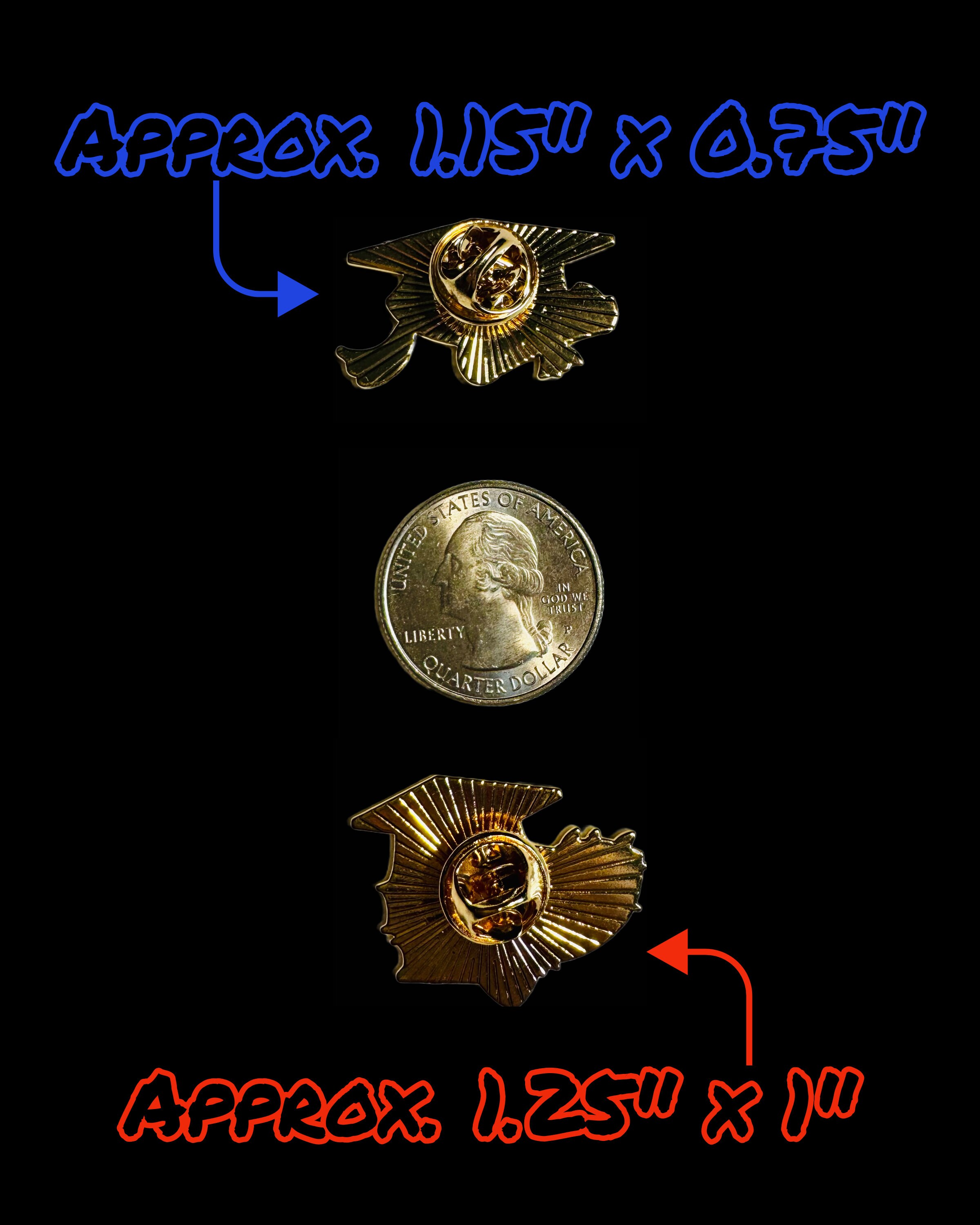 Graduation Cap Enamel Pins W/ Diploma OR Bouquet of Roses & a Set of ...