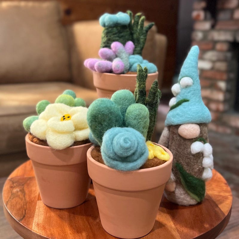 Needle Felted Cactus Mini - Etsy