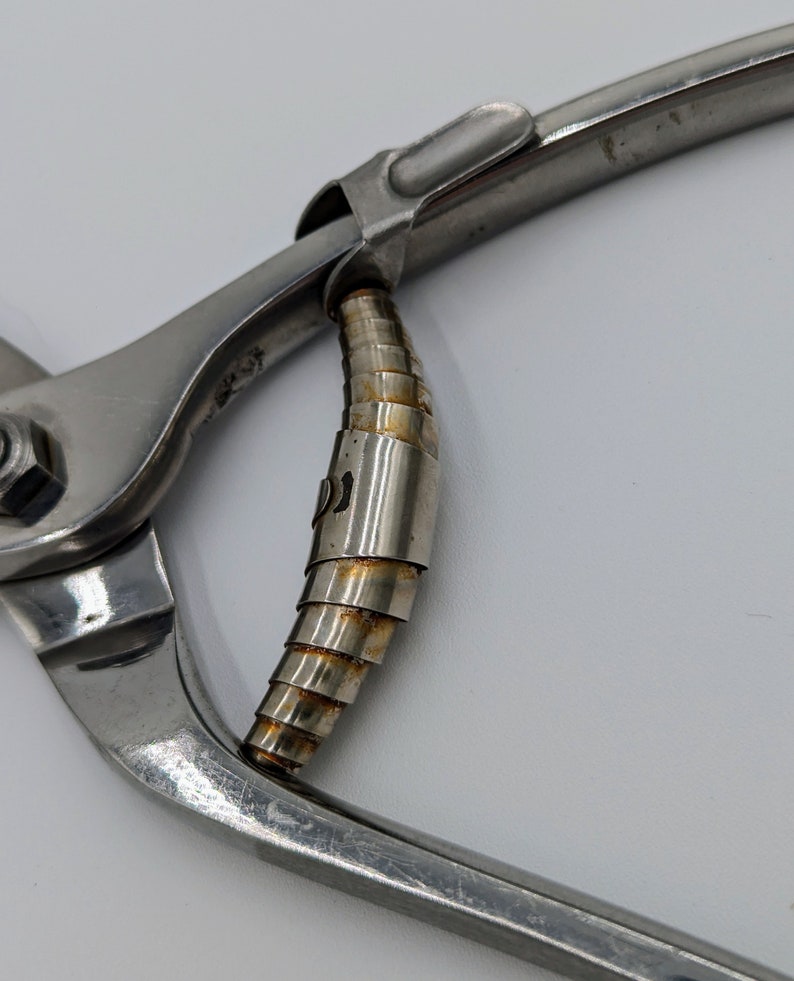 Friodur Inox | Zwilling J. A. Henckels | Vintage 1970s | Poultry ...