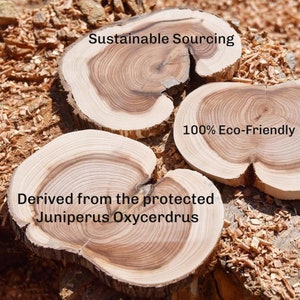 SENTJO Premium 100% Natural Handmade Cade Incense Powder, Sustainably ...