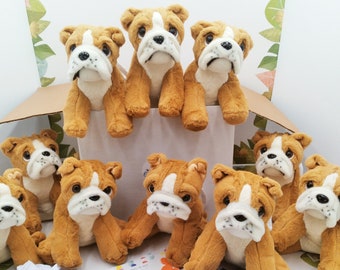 Mixed up 15 Pack Make Your Own Dog Party Kit T-shirts 10 Dog Plushie ...