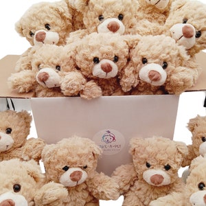 15 Pack Make Your Own Teddy Bear Kit With or Without T-shirts 10" Bear ...