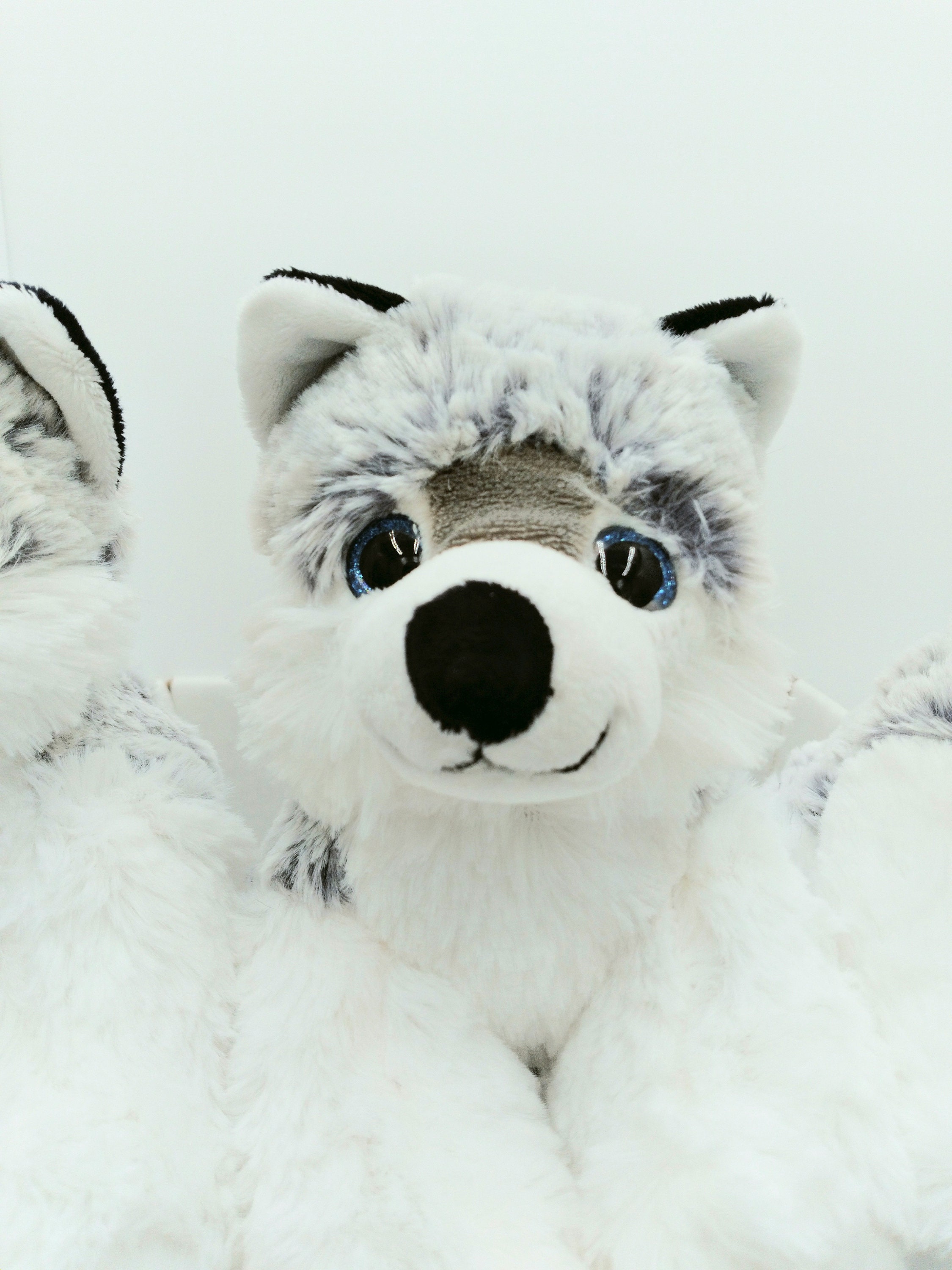 5 Pack Make Your Own Husky Dog Party Kit White T-shirts 10husky Dog ...