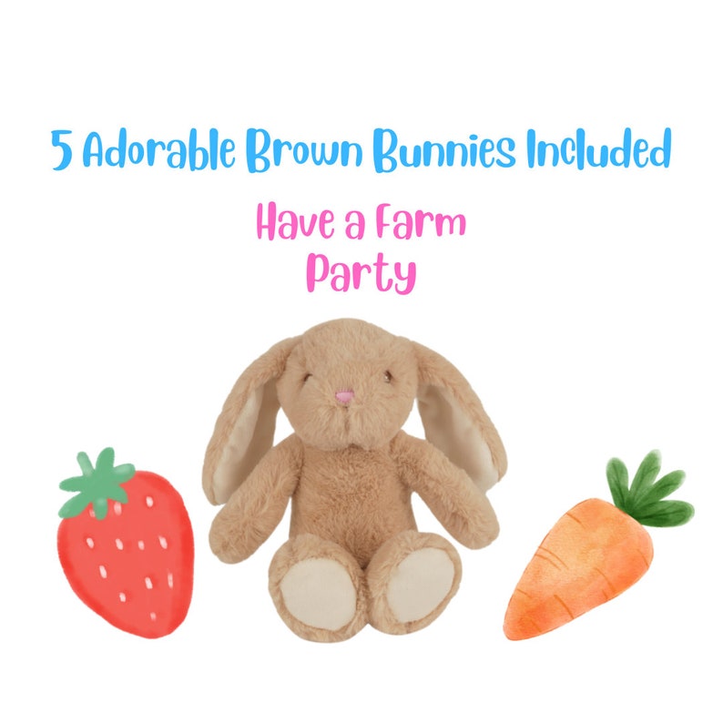 DIY(15 Pack) Make Your Own Brown Bunny Party Favor, Stuffed Animal Kit ...