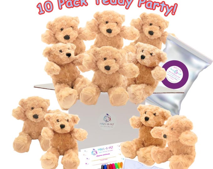 10 Pack Make Your Own 10" Classic Teddy Bear Party Kit With/without ...