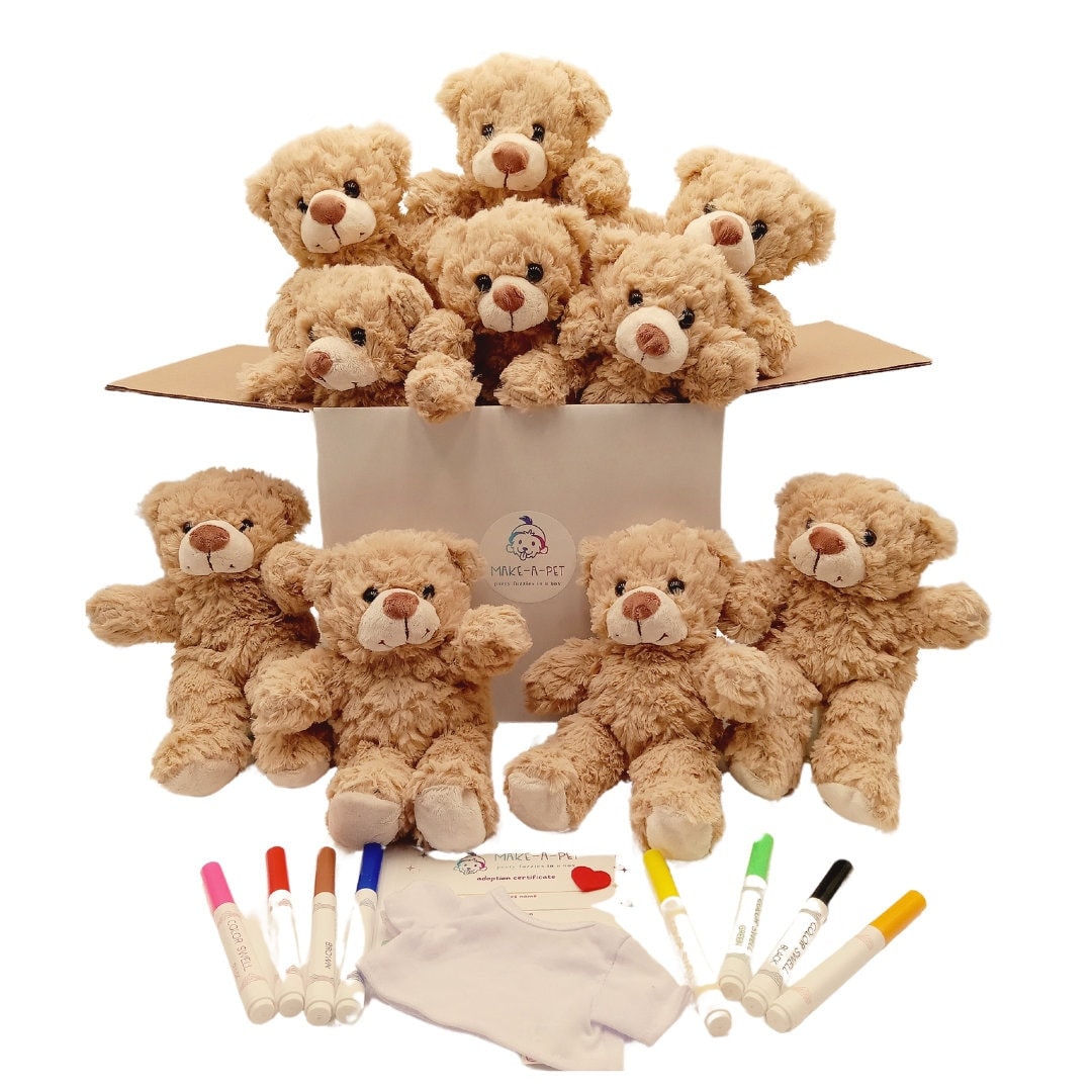 10 Pack Make Your Own 10" Fuzzy Teddy Bear Party Kit With or Without ...