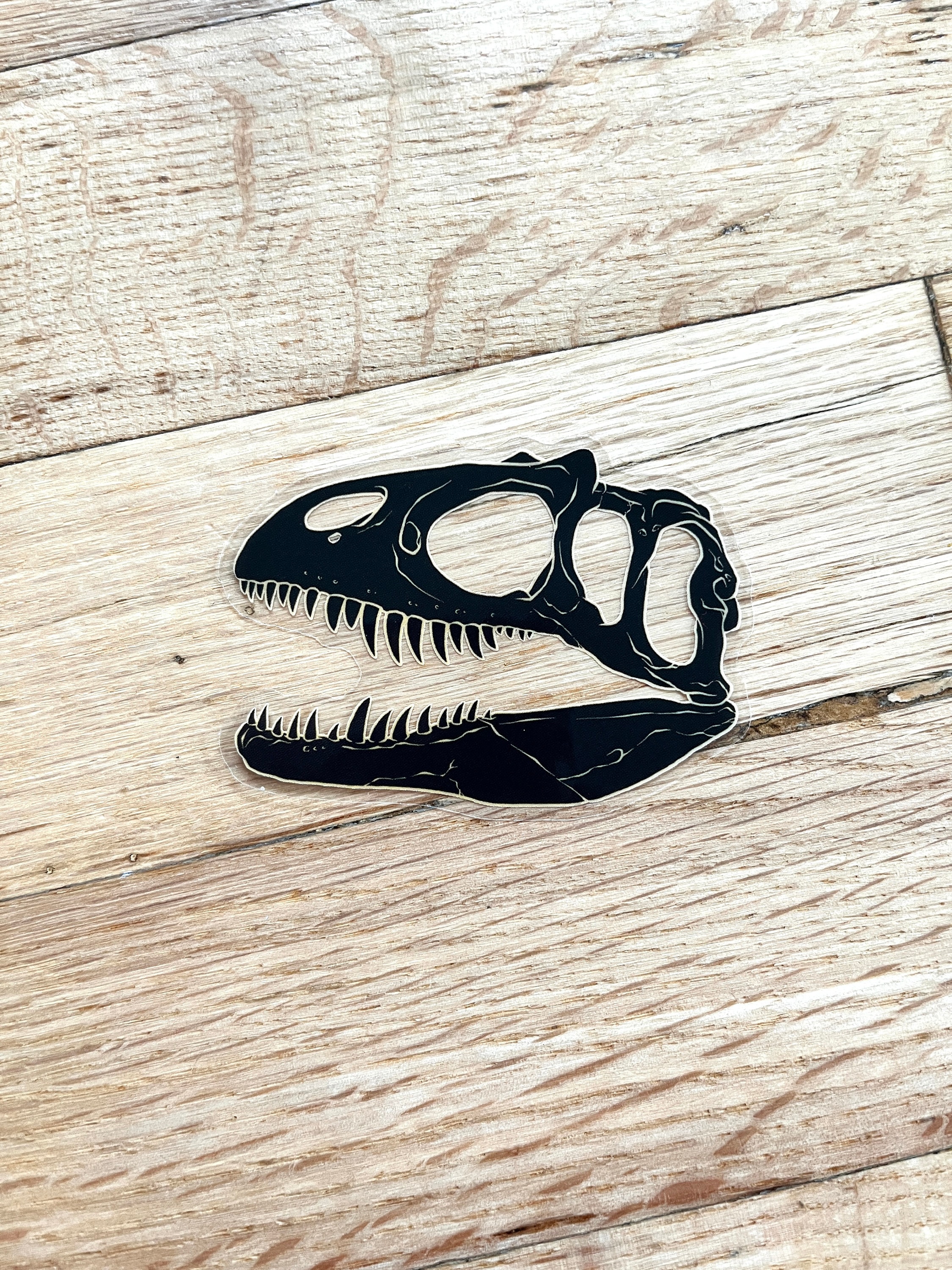 Allosaurus Dinosaur Skull CLEAR Decal Sticker - Etsy