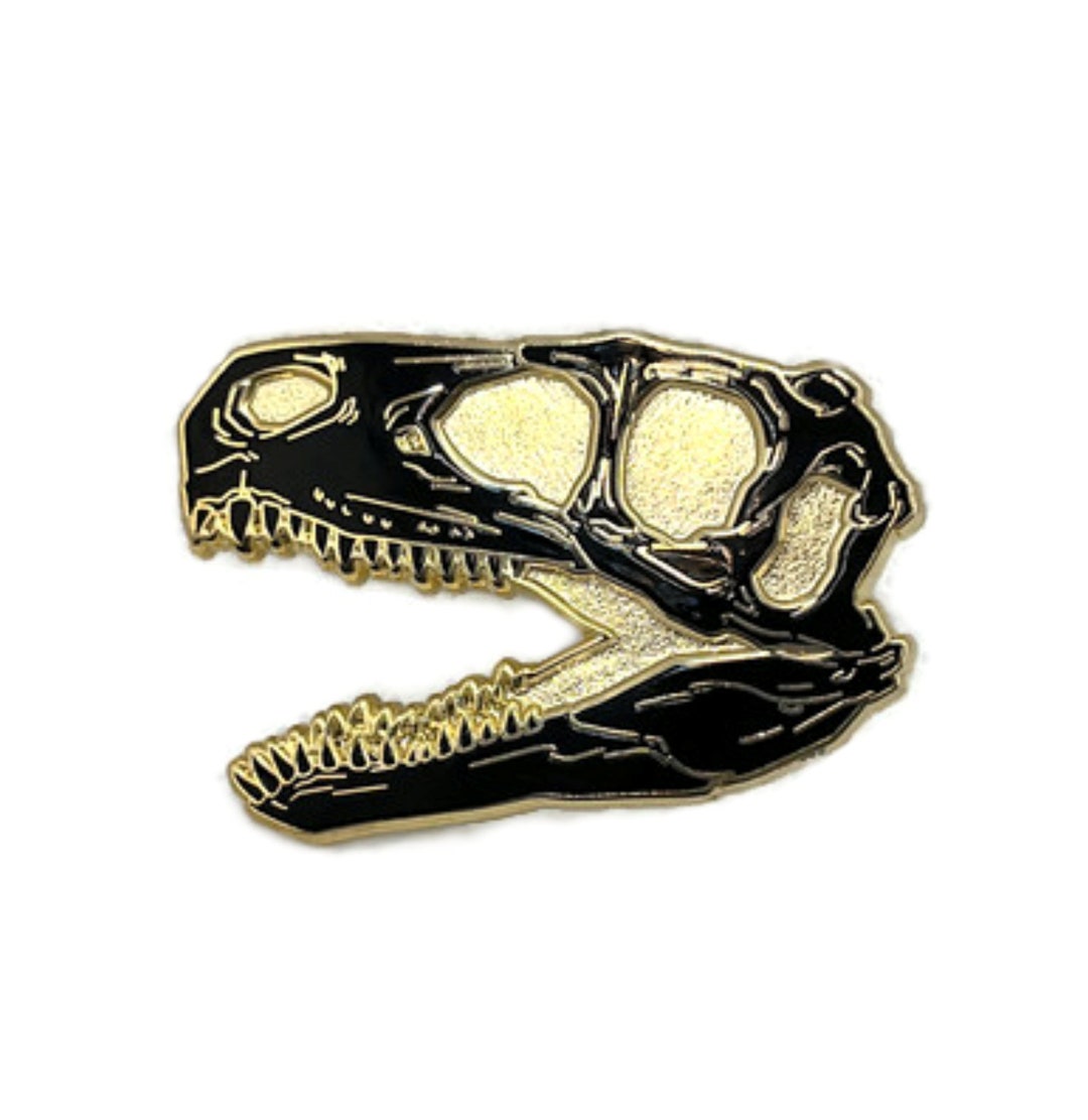 Utahraptor Fossil Skull Hard Enamel Pin - Etsy