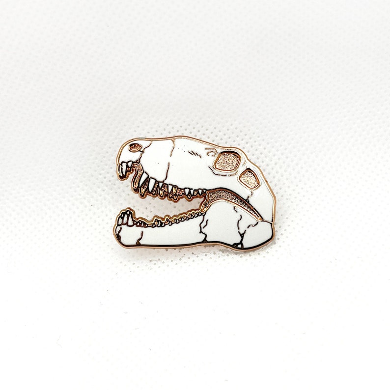 Dimetrodon Fossil Skull Hard Enamel Pin - Etsy
