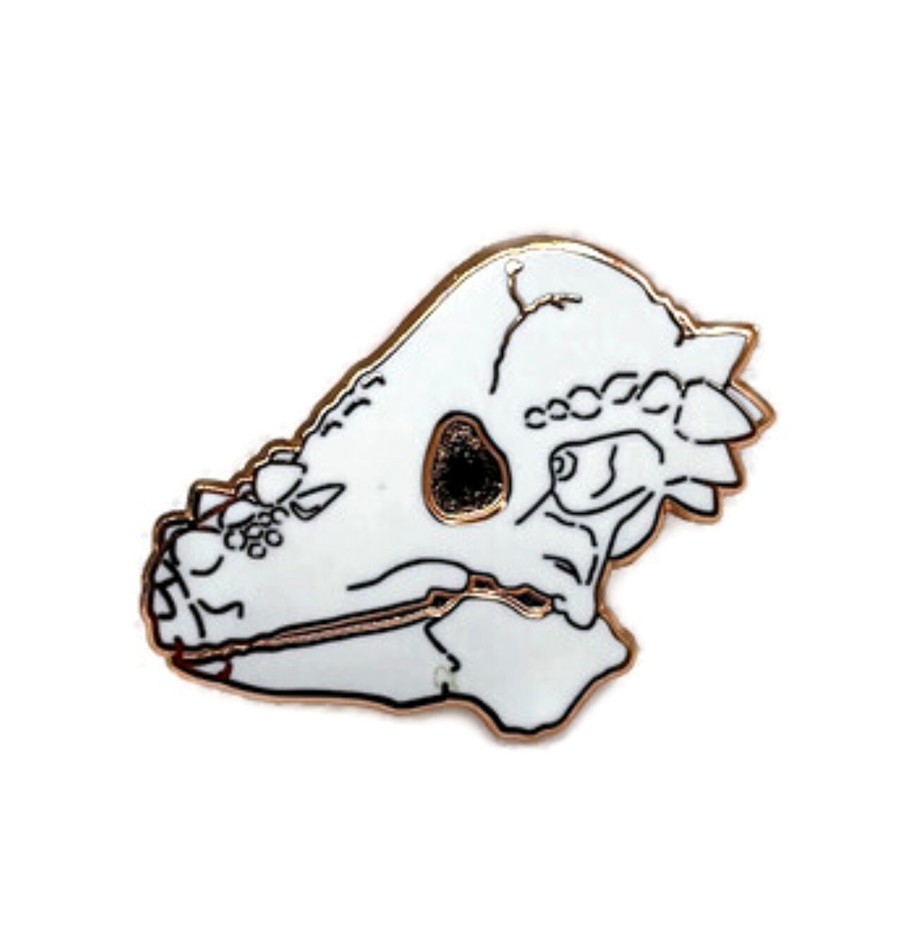 Pachycephalosaurus Fossil Skull Hard Enamel Pin - Etsy