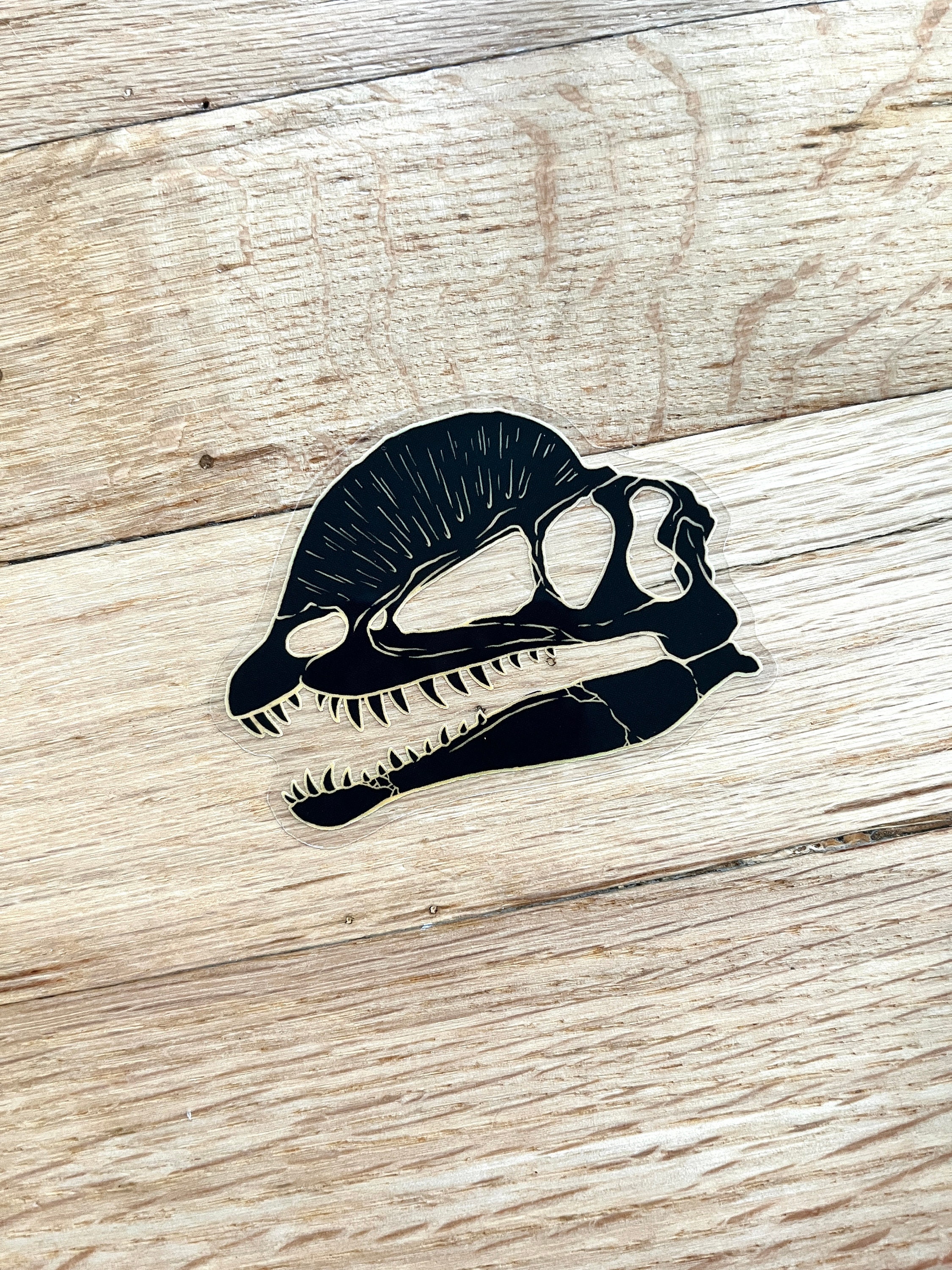 Dilophosaurus Dinosaur Skull CLEAR Decal Sticker - Etsy