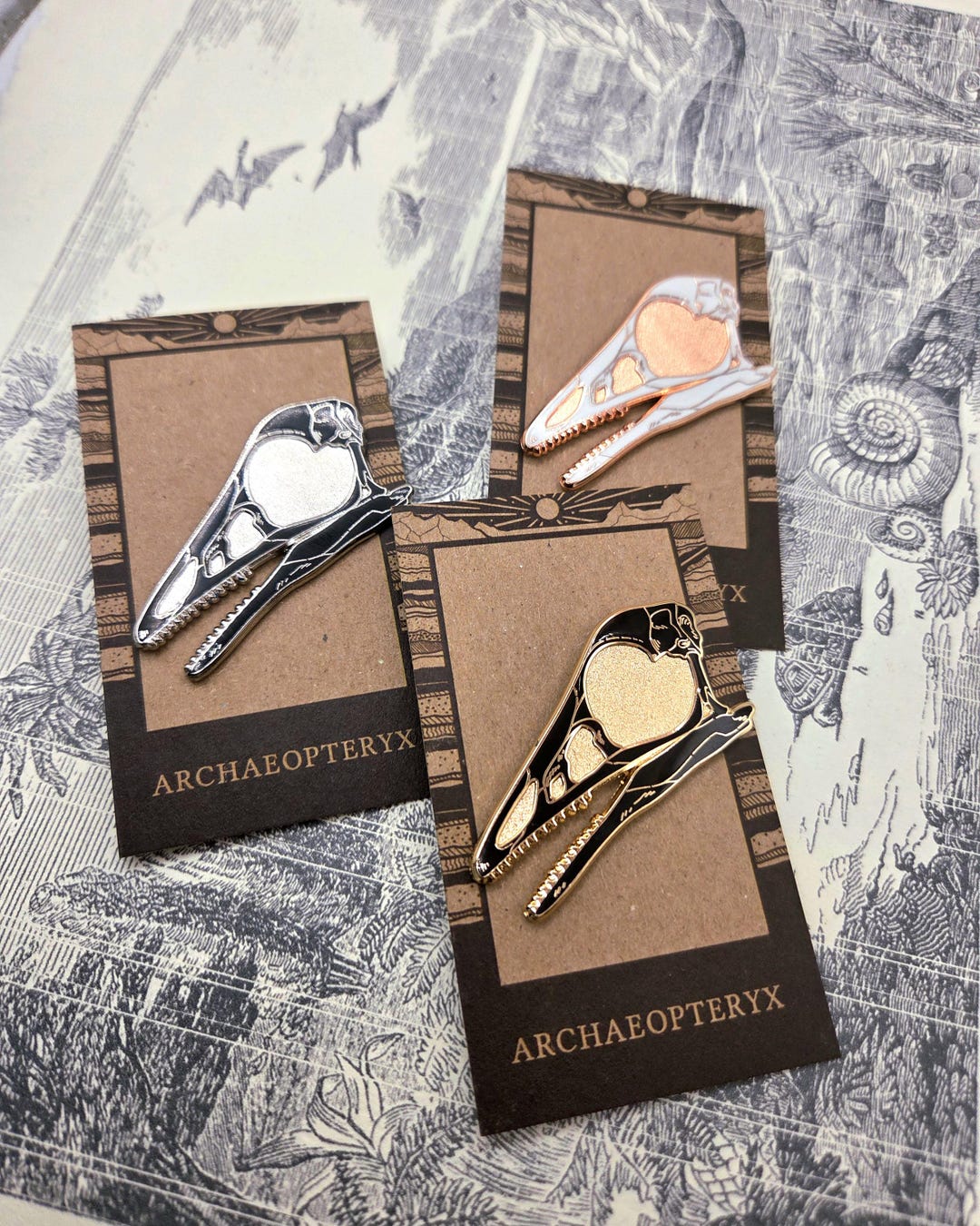 Archaeopteryx Dinosaur Fossil Skull Hard Enamel Pin - Etsy