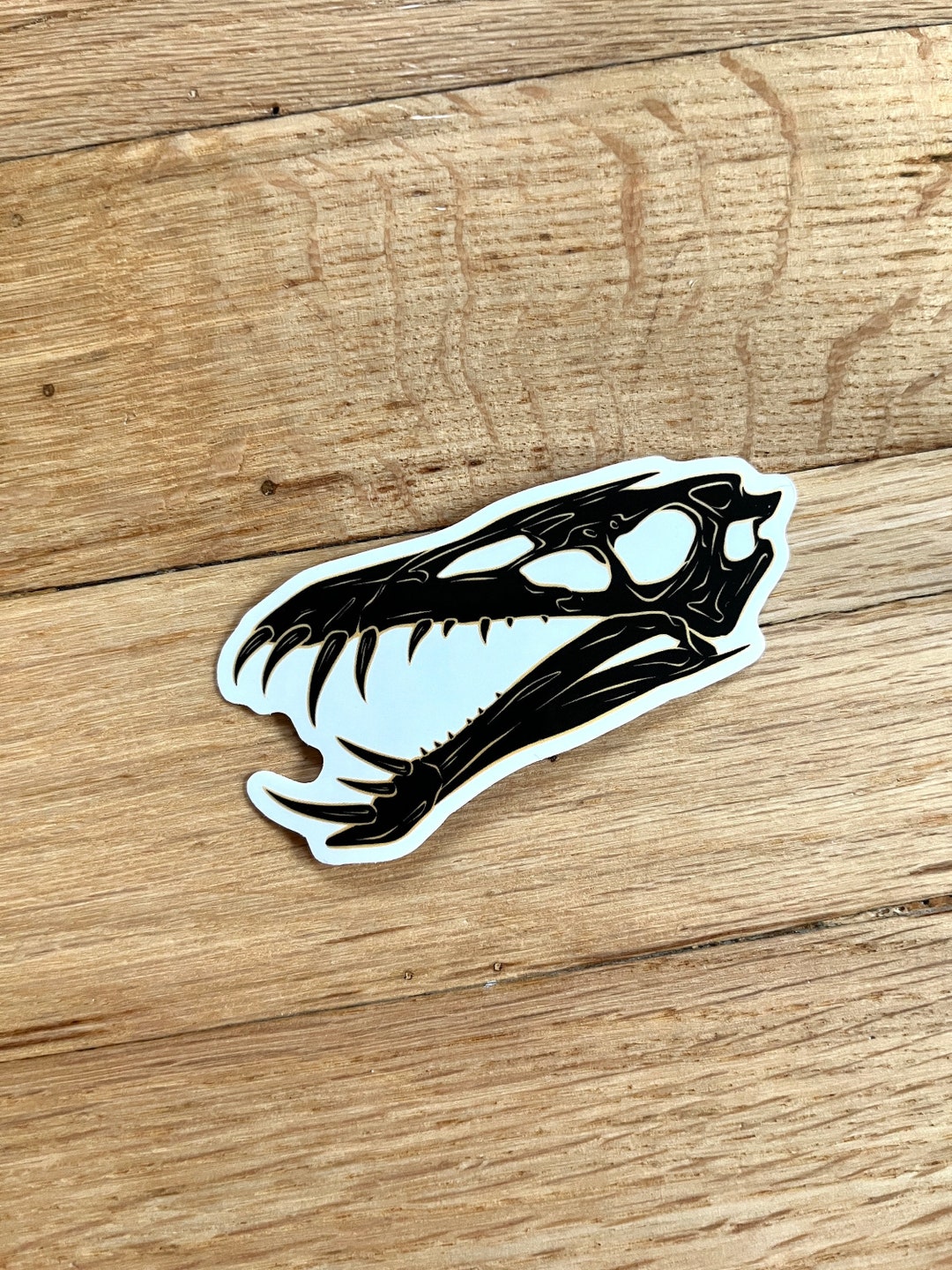 Dorygnathus Pterosaur Skull CLEAR Decal Sticker - Etsy