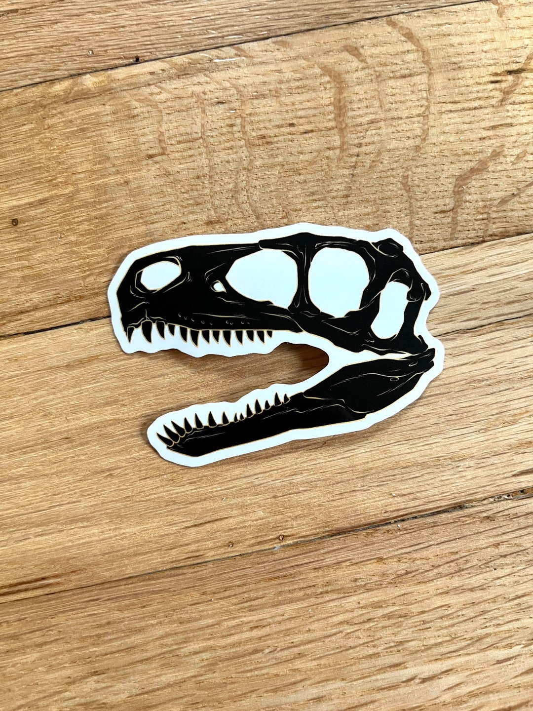 Utahraptor Dinosaur Skull CLEAR Decal Sticker - Etsy