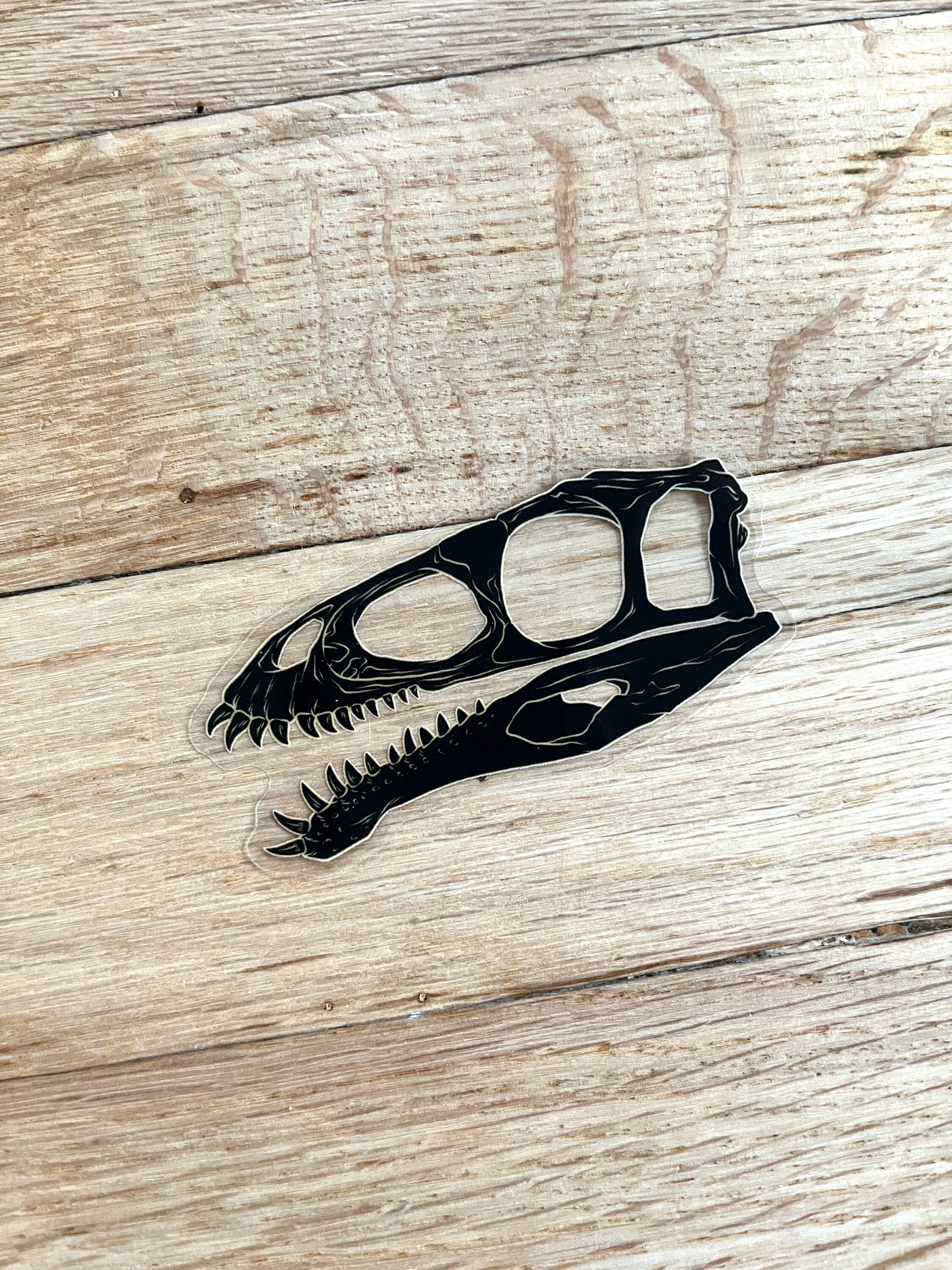 Masiakasaurus Dinosaur Skull CLEAR Decal Sticker - Etsy