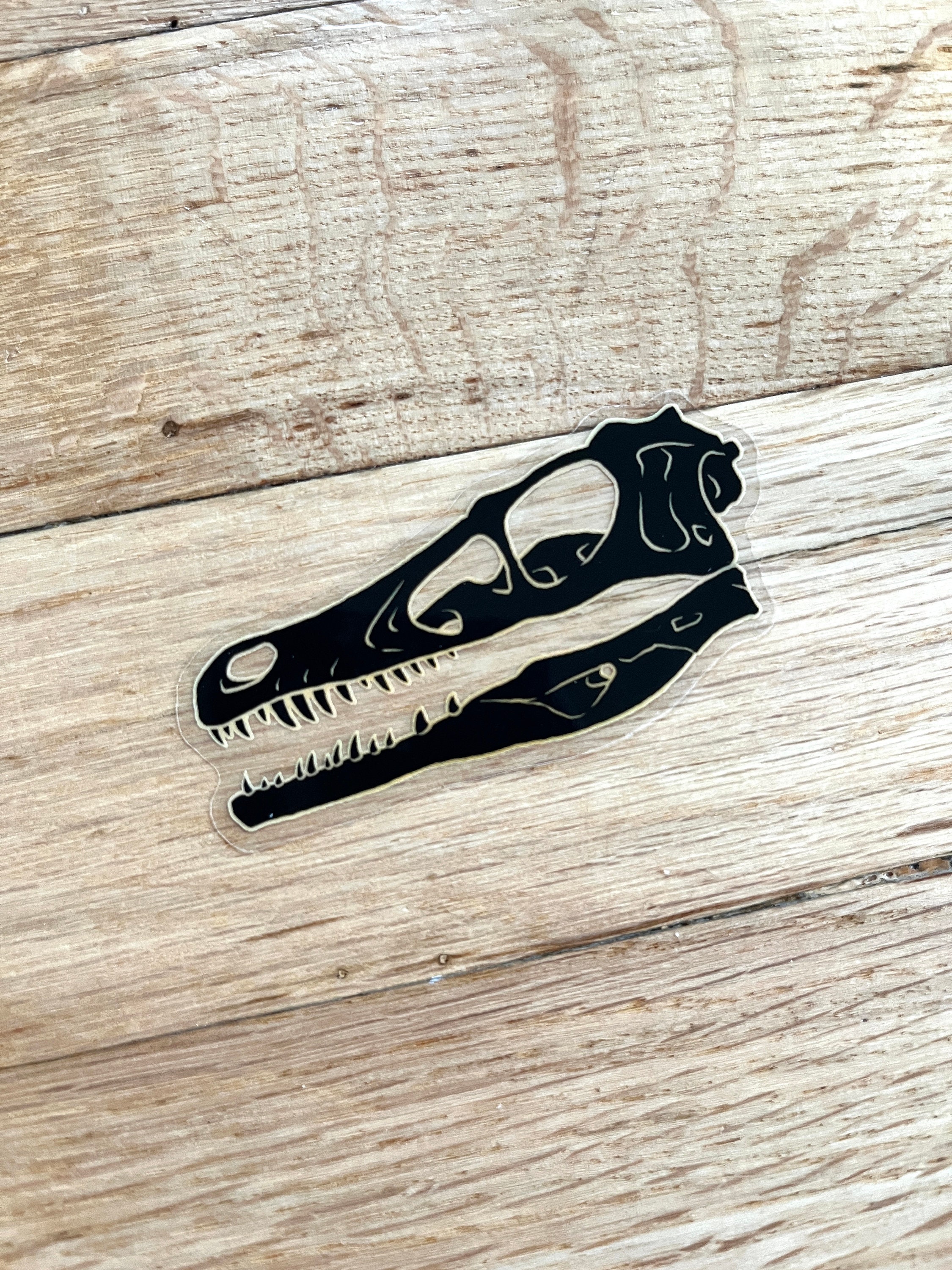 Velociraptor Dinosaur Skull CLEAR Decal Sticker - Etsy