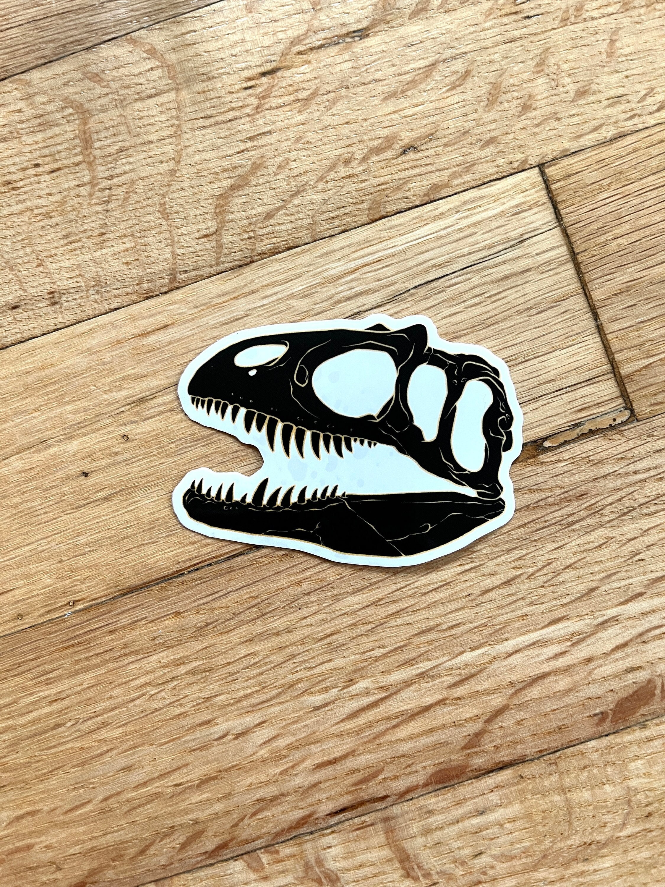 Allosaurus Dinosaur Skull CLEAR Decal Sticker - Etsy