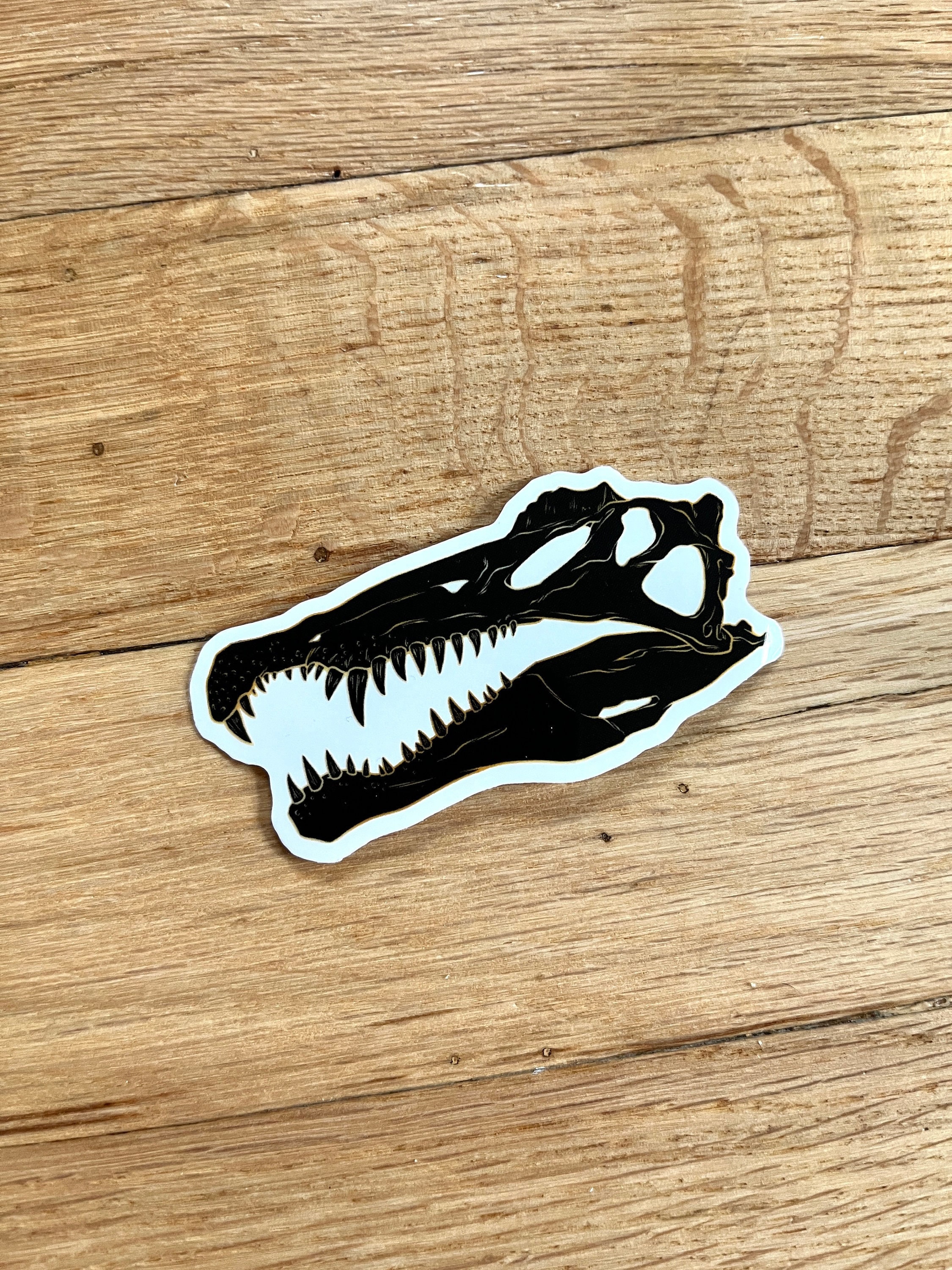 Spinosaurus Skull CLEAR Decal Sticker - Etsy
