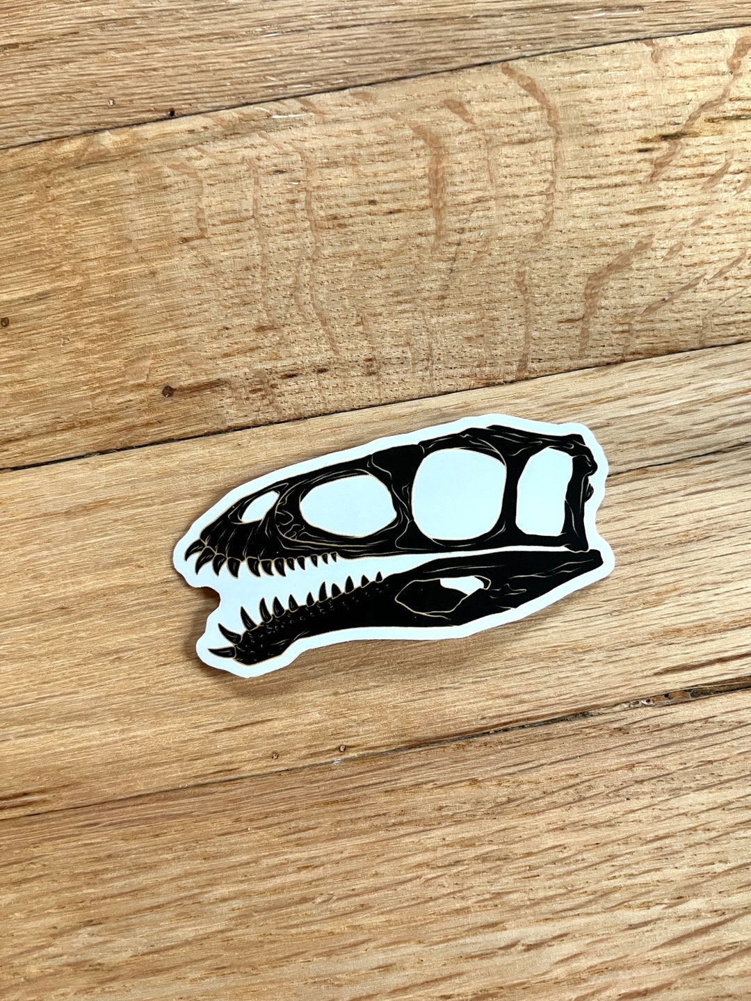 Masiakasaurus Dinosaur Skull CLEAR Decal Sticker - Etsy