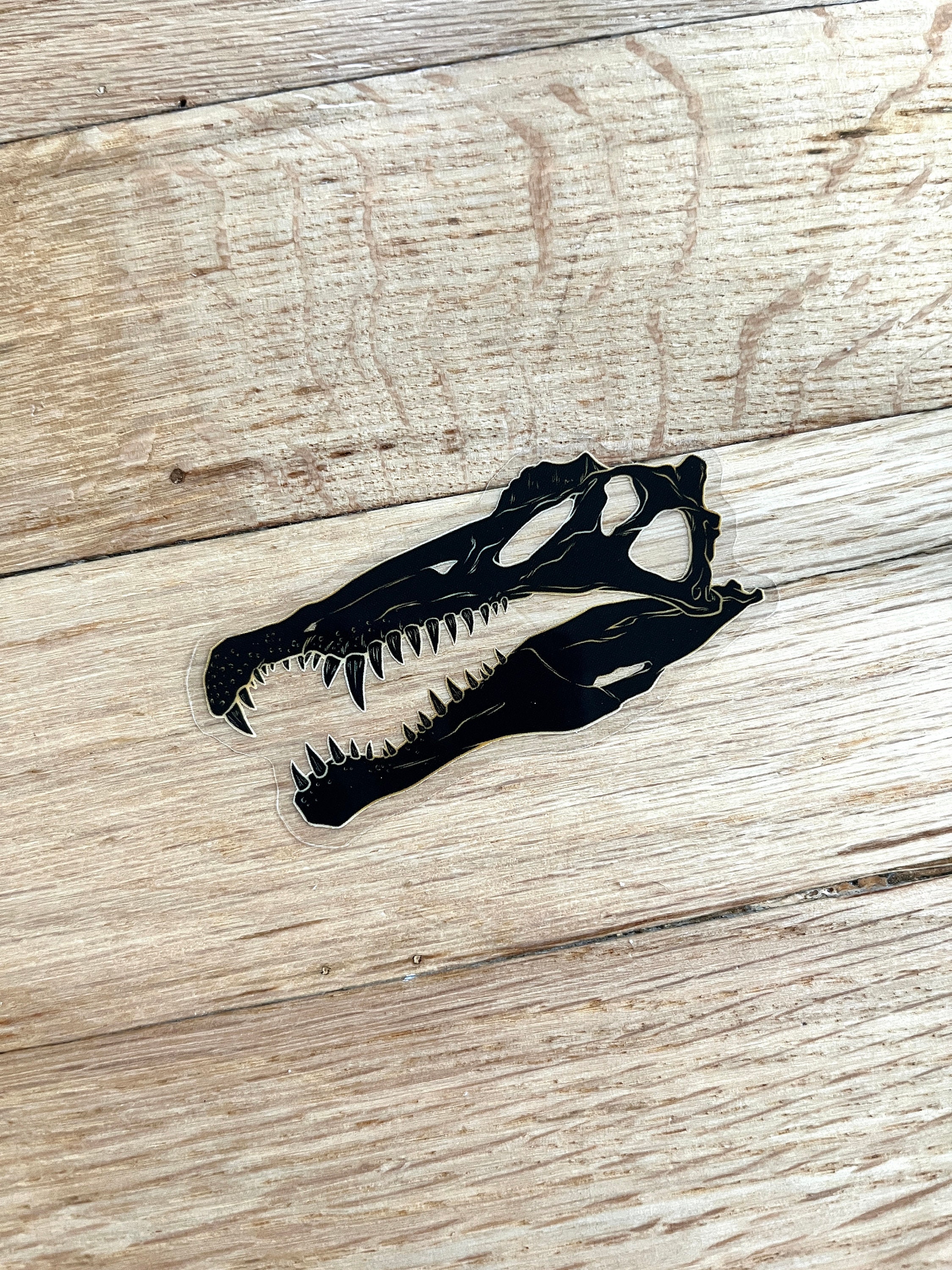 Spinosaurus Skull CLEAR Decal Sticker - Etsy