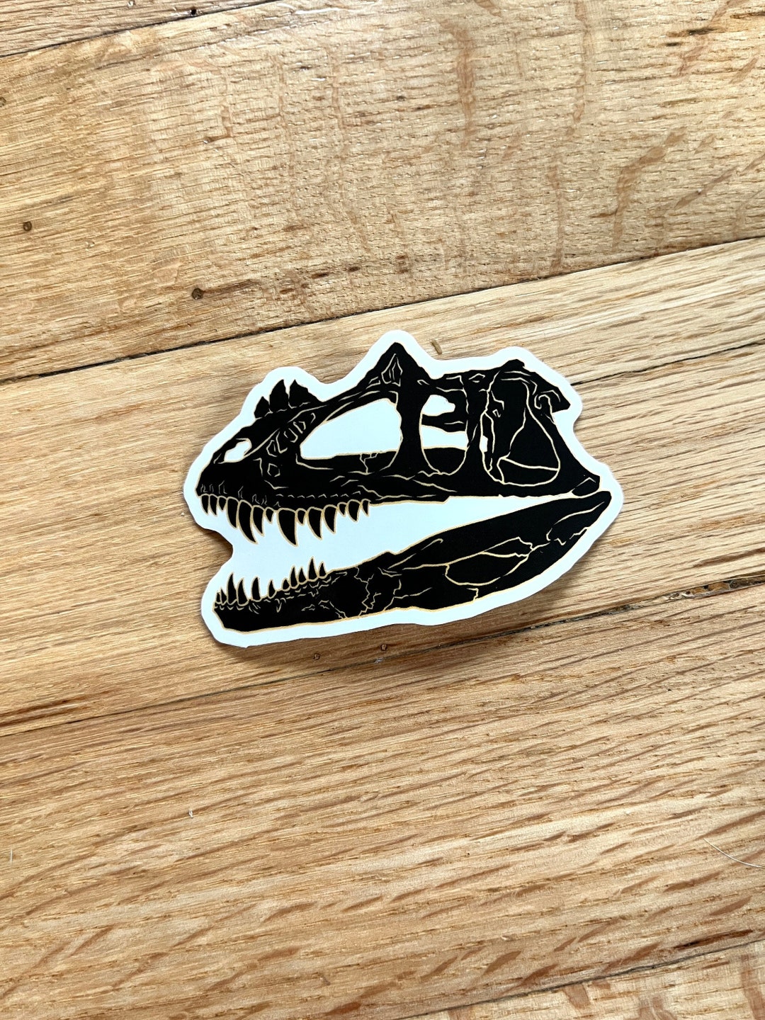 Ceratosaurus Dinosaur Skull CLEAR Decal Sticker - Etsy