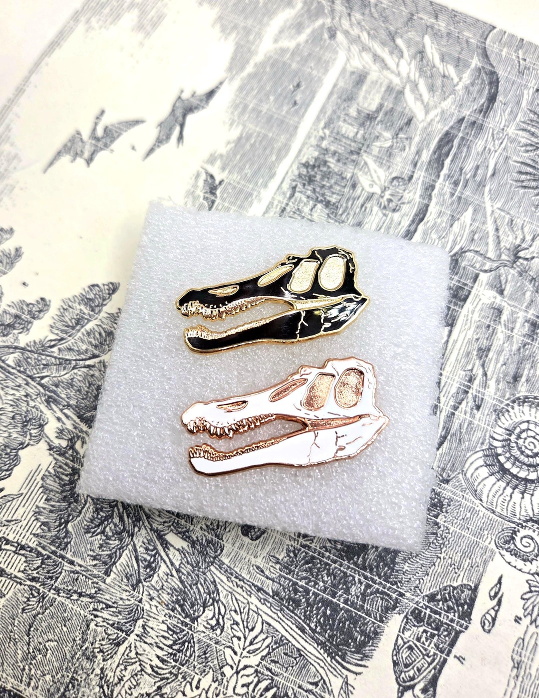 RARE Baryonyx Fossil Skull Hard Enamel Pin - Etsy