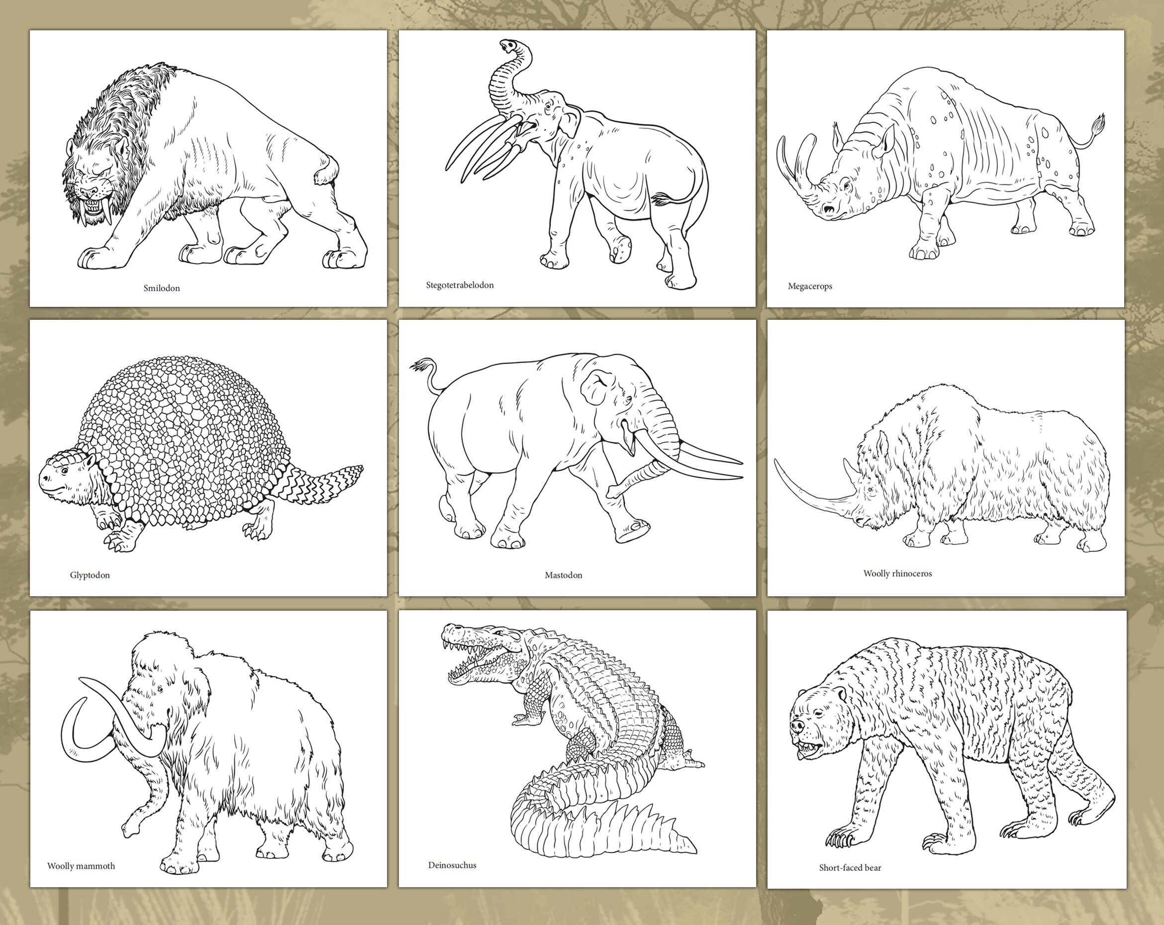 Prehistoric Animals for Kids and Adults. 40 Coloring Pages With Animals ...