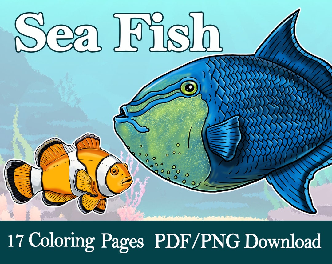 Sea Fish for Kids and Adults. 17 Coloring Pages With Saltwater Fish and ...
