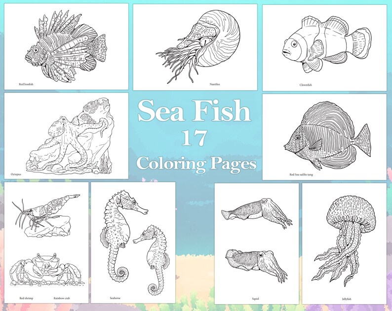 Sea Fish for Kids and Adults. 17 Coloring Pages With Saltwater Fish and ...
