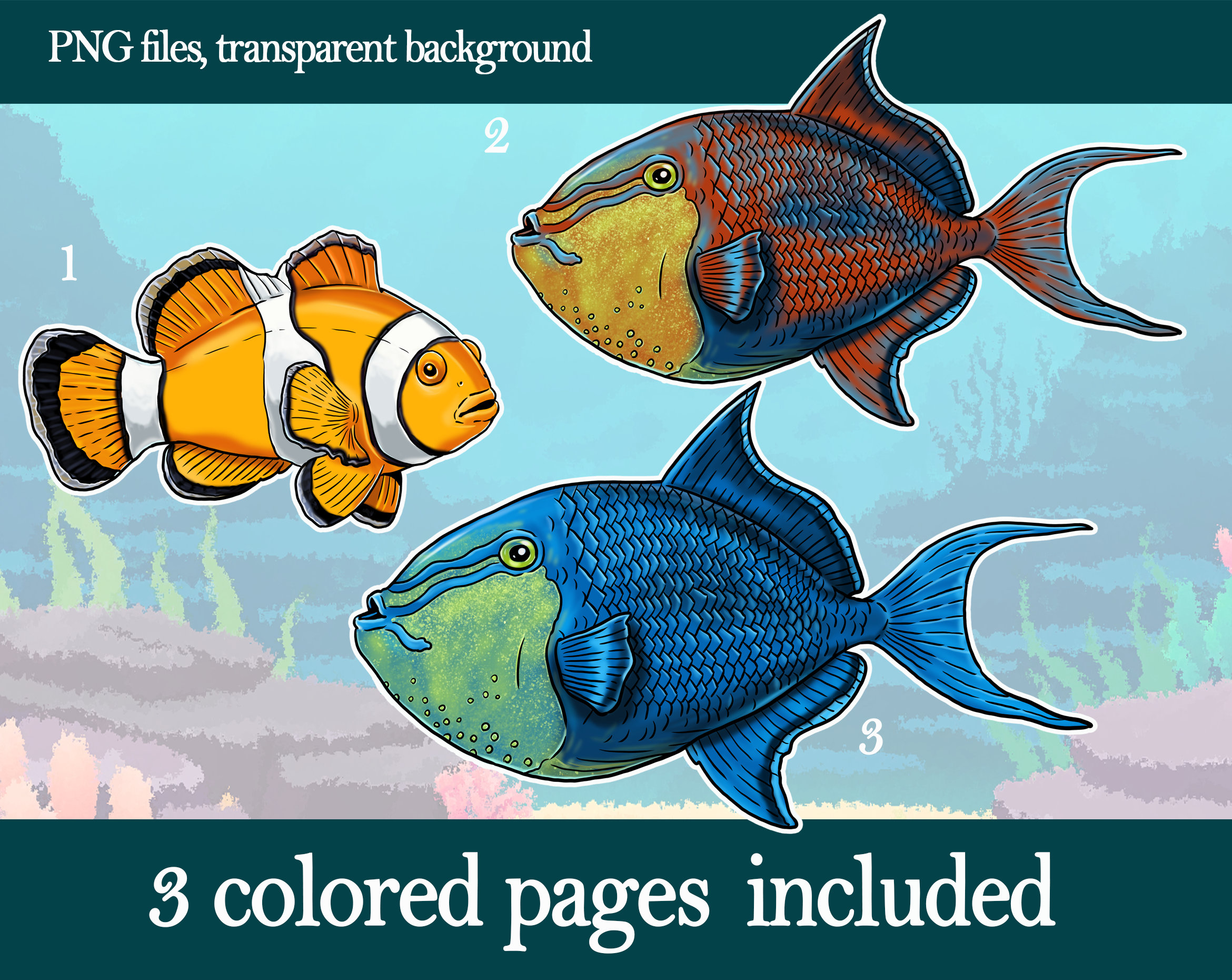 Sea Fish for Kids and Adults. 17 Coloring Pages With Saltwater Fish and ...