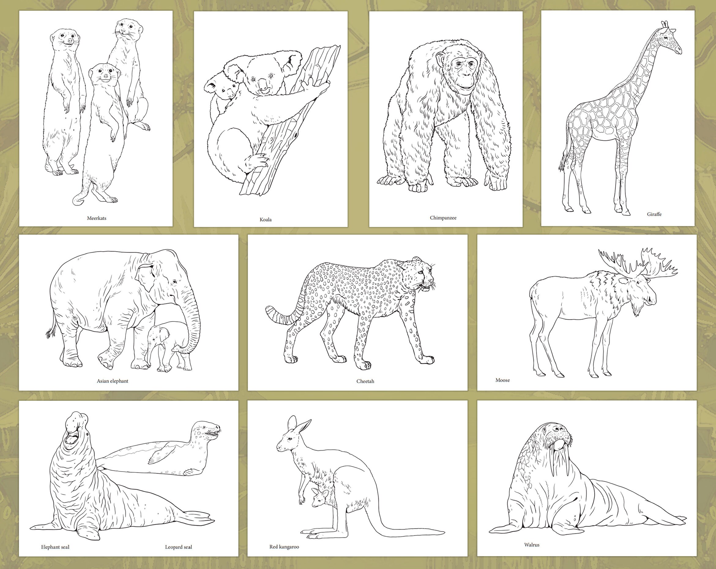 Wild Animals for Kids and Adults. 38 Coloring Pages With Animals From ...