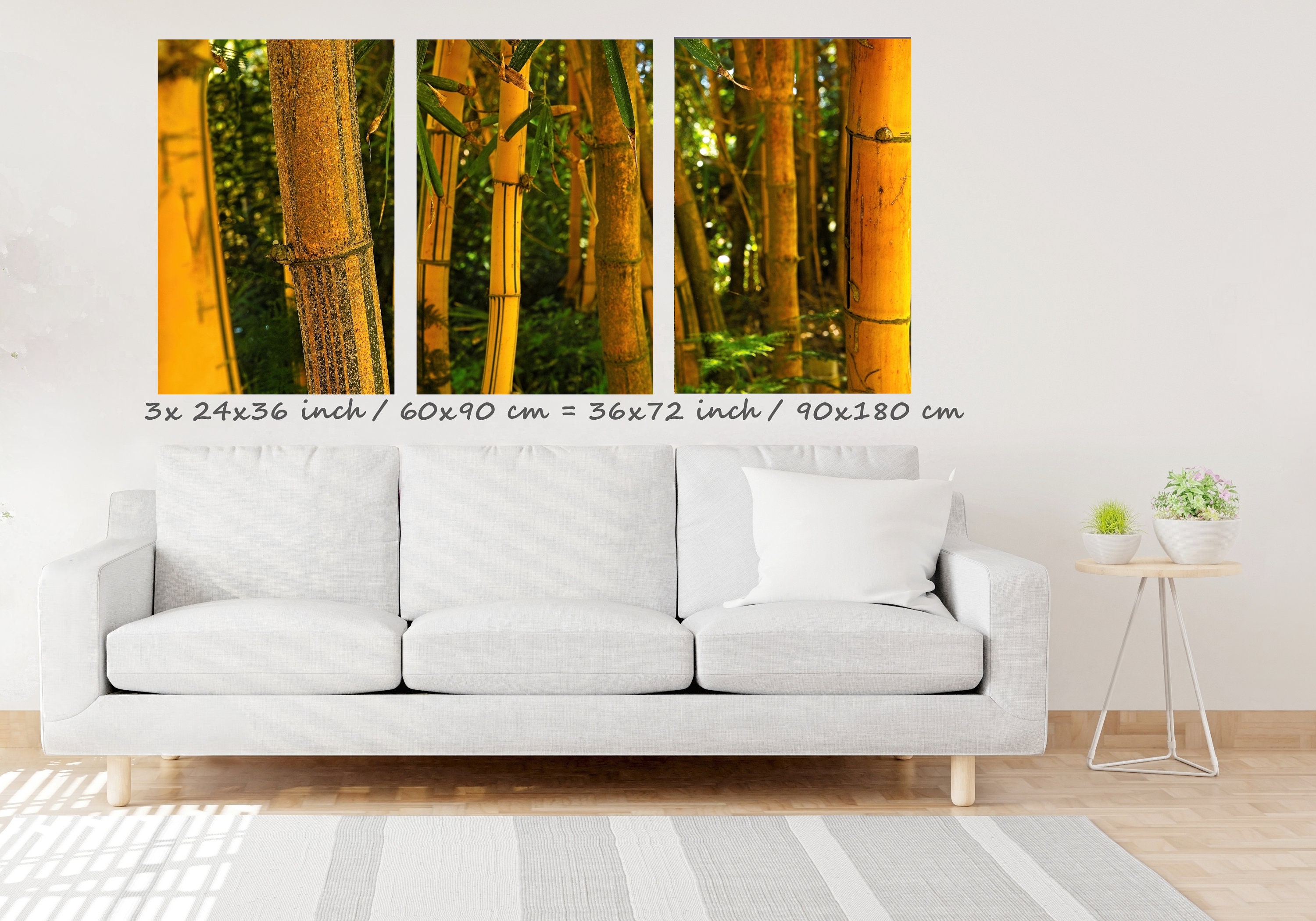 Japan Bamboo Tree Poster, Bambooarium, Wild Garden, Orange Trunk ...