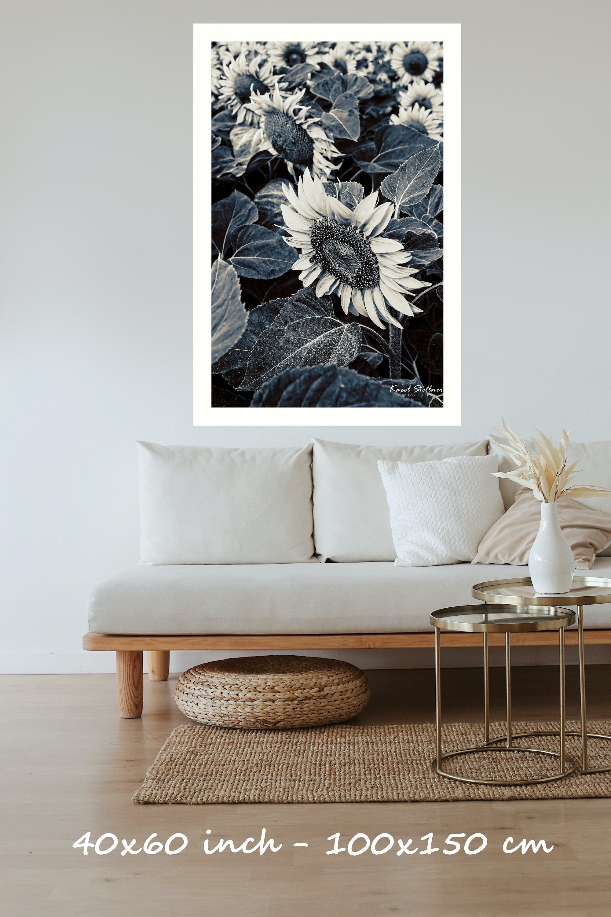 Black and White Sunflowers, Floral Poster, Blooming Flower, Garden ...