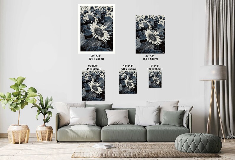 Black and White Sunflowers, Floral Poster, Blooming Flower, Garden ...