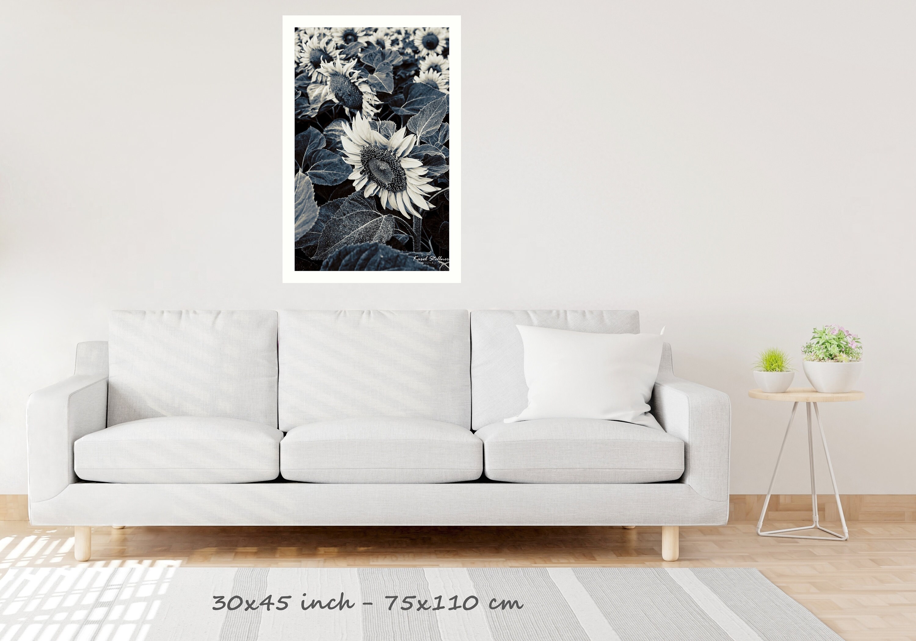 Black and White Sunflowers, Floral Poster, Blooming Flower, Garden ...