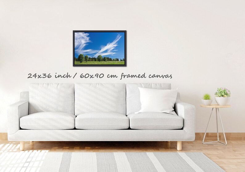 White Cirrus Clouds, Blue Sky in Mountains, Green Meadow, Spruce, Linder Trees, Landscape ...