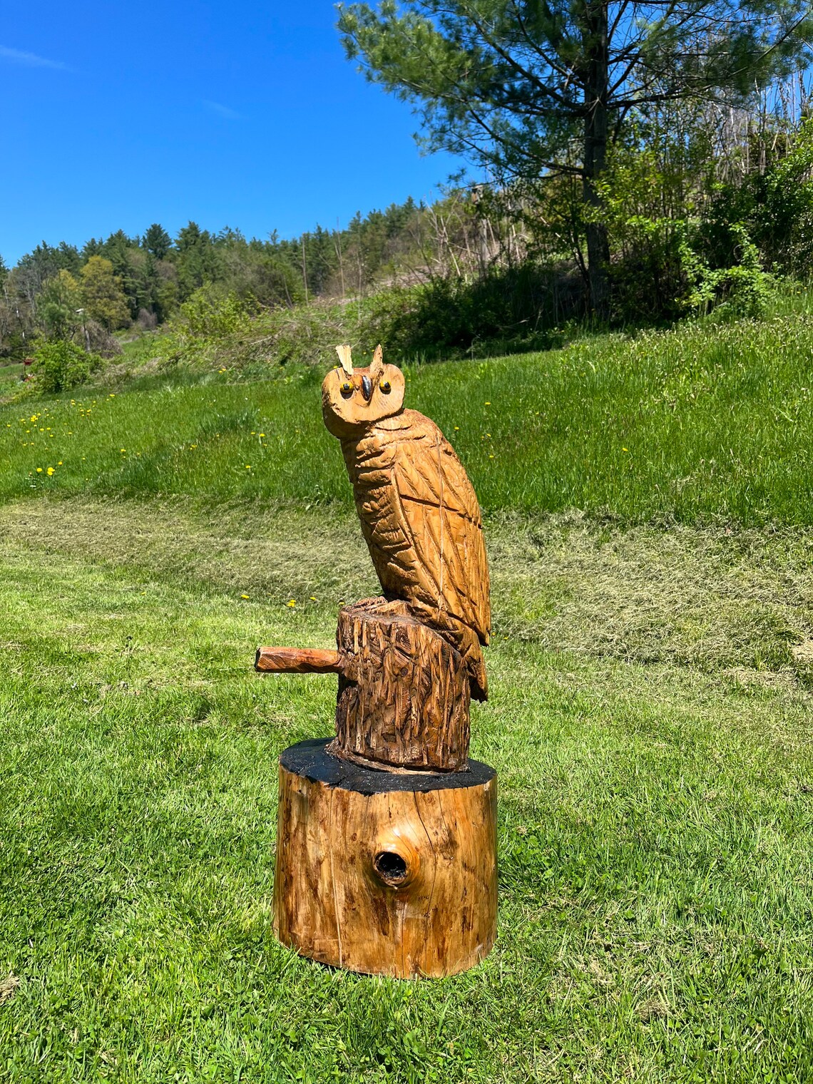 Owl Chainsaw Carving - Etsy