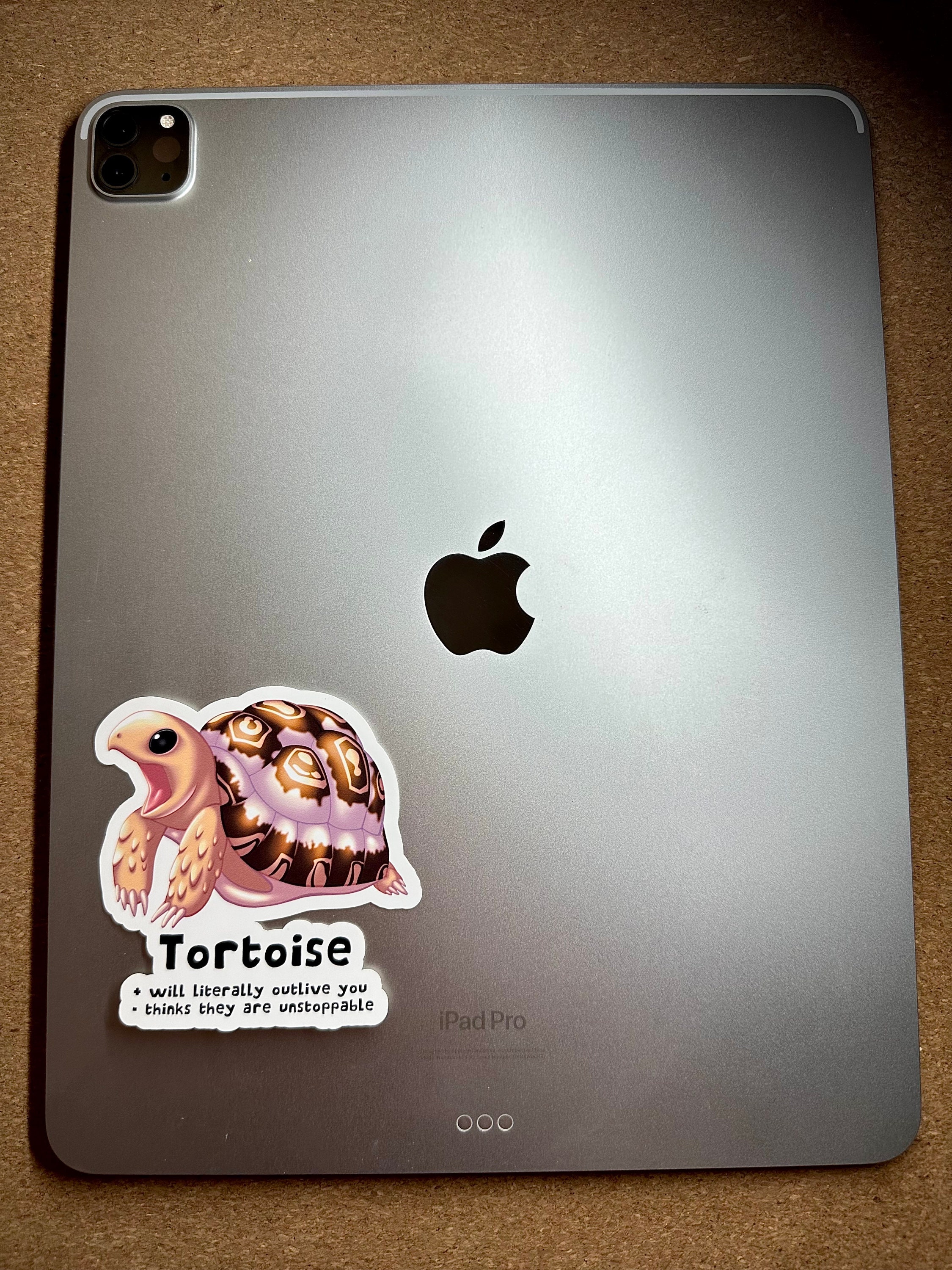 Funny Tortoise Sticker Vinyl Decal Turtle Lover Sticker - Etsy