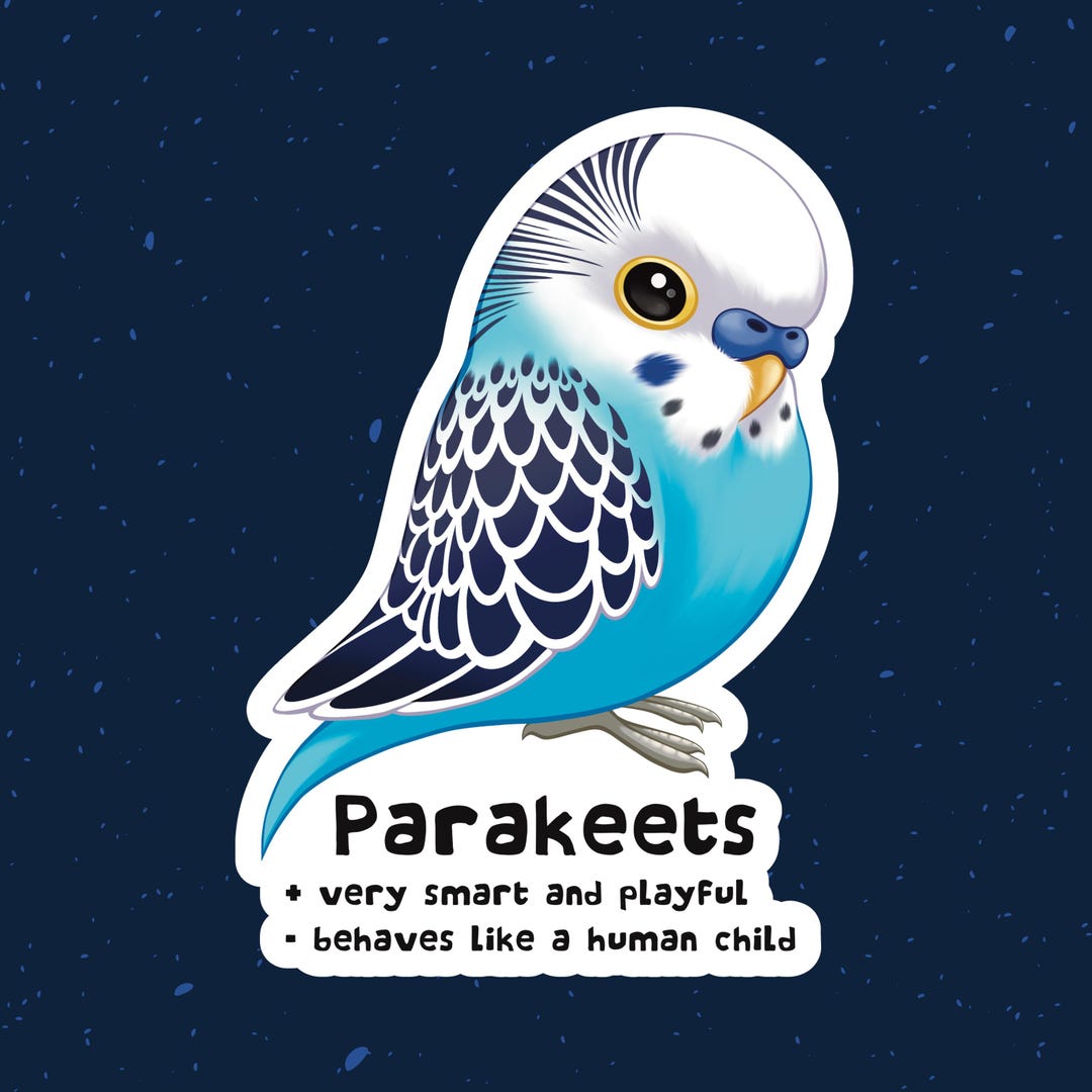 Funny Budgie Parakeet Stickers Cute Exotic Pets Vinyl Decal Gift for ...