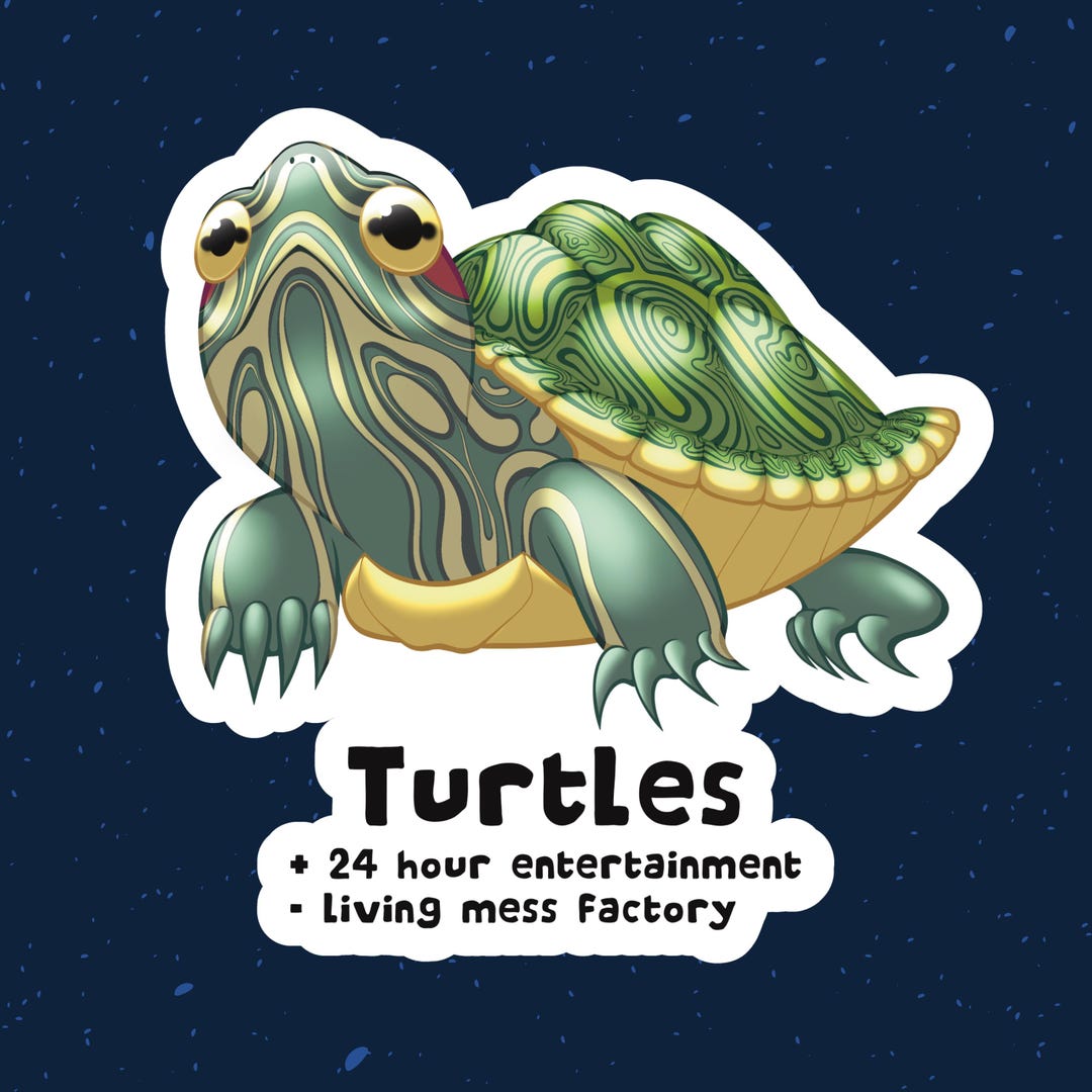 Funny Turtle Sticker Vinyl Decal, Turtle Lover Sticker, Unique Exotic ...