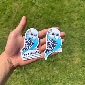 Funny Budgie Parakeet Stickers Cute Exotic Pets Vinyl Decal Gift for ...