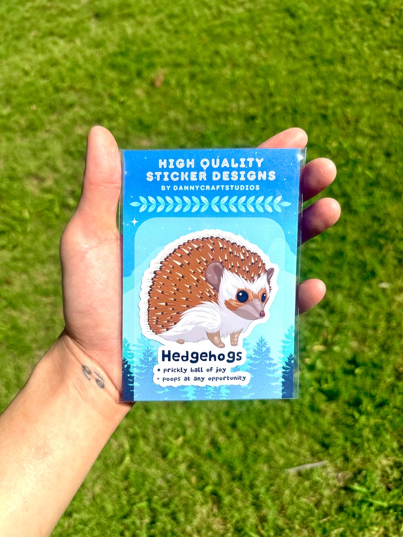 Funny Hedgehog Sticker! Cute Exotic Pets Vinyl Decal, Great Gift for ...