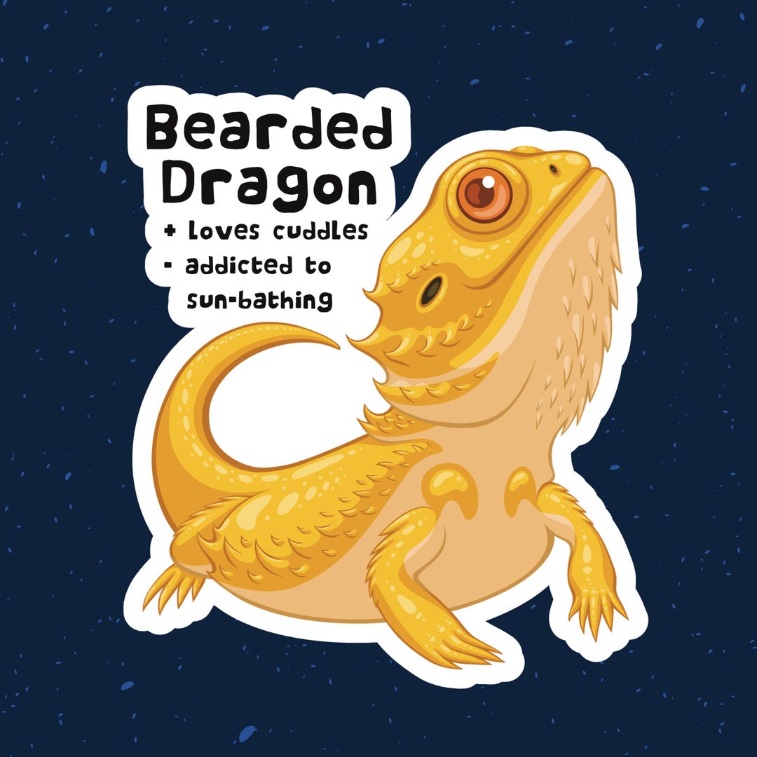 Funny Bearded Dragon Sticker! Cute Exotic Pets Vinyl Decal, Great Gift ...