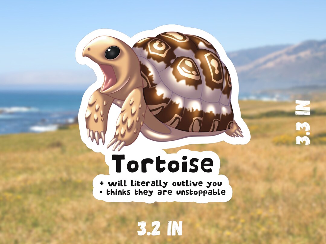 Funny Tortoise Sticker Vinyl Decal Turtle Lover Sticker - Etsy