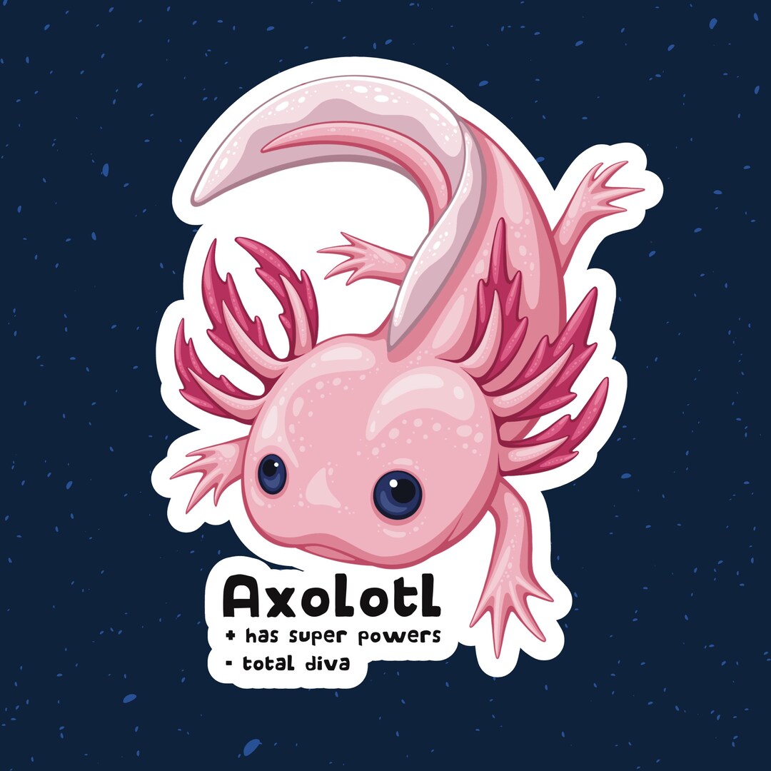 Cute Axolotl Vinyl Sticker Decal, Exotic Pet Gift - Etsy